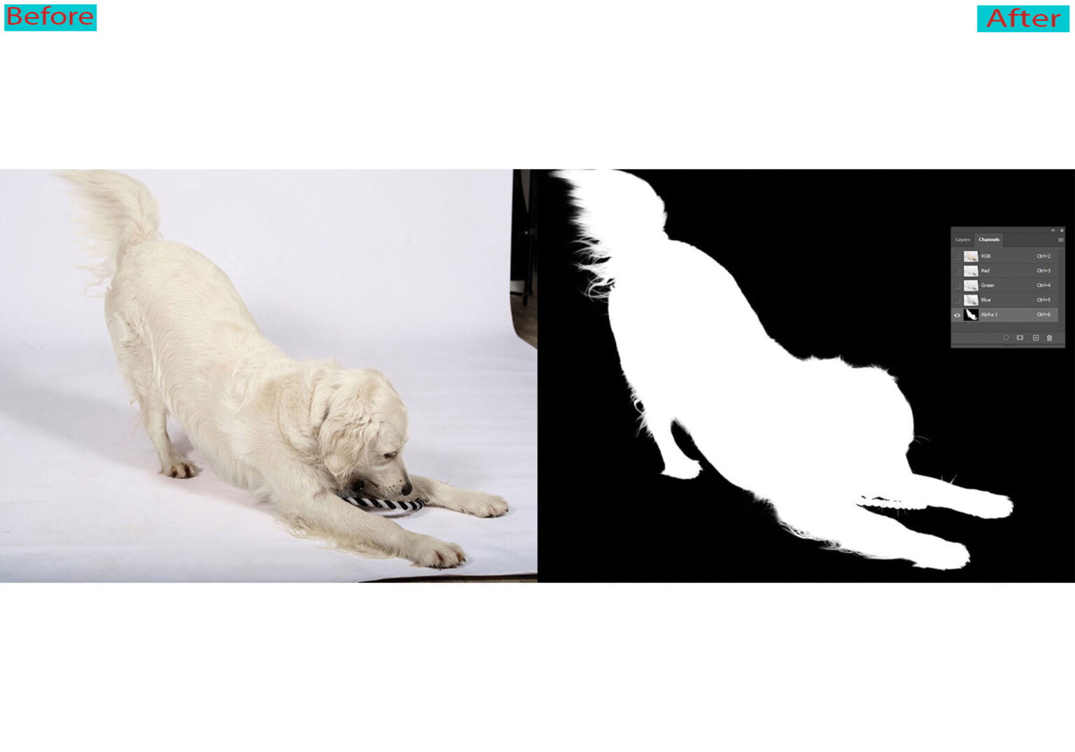 Professional Image Masking Services | Starts at $0.99 Only/